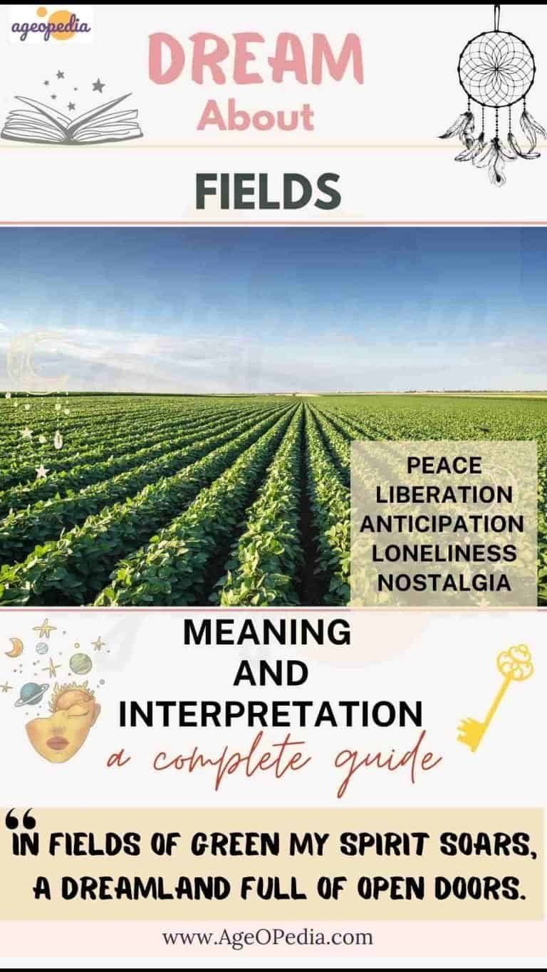 Dream about Fields: Biblical & Spiritual meaning, interpretation, good ...