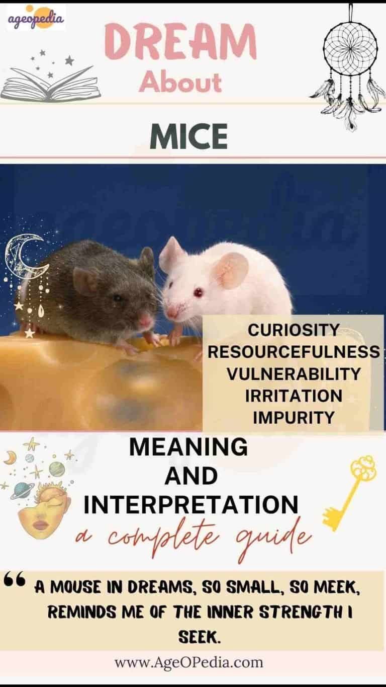 Dream about Mice: Biblical & Spiritual meaning, interpretation, good or ...