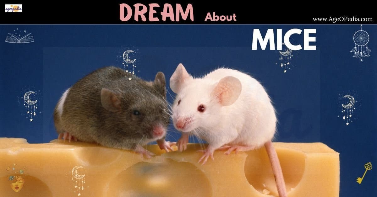 Dream about Mice: Biblical & Spiritual meaning, interpretation, good or ...